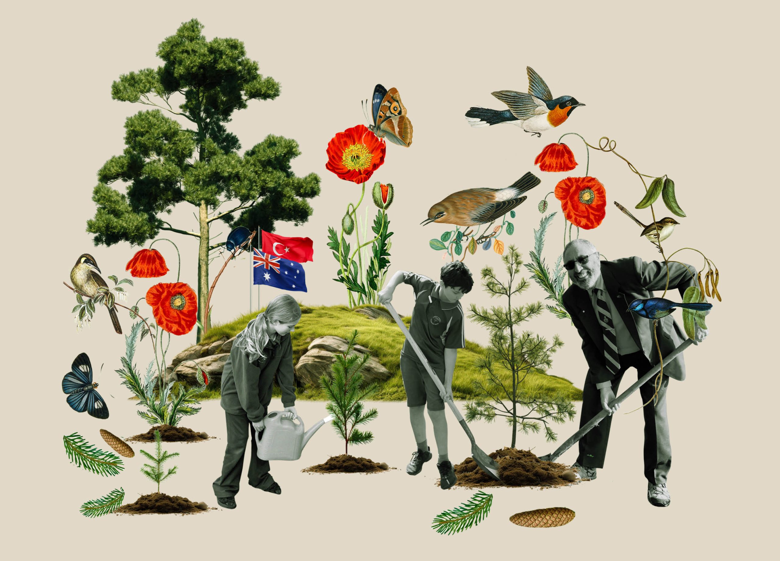 100 Lone Pines - Commemorating the ANZAC spirit