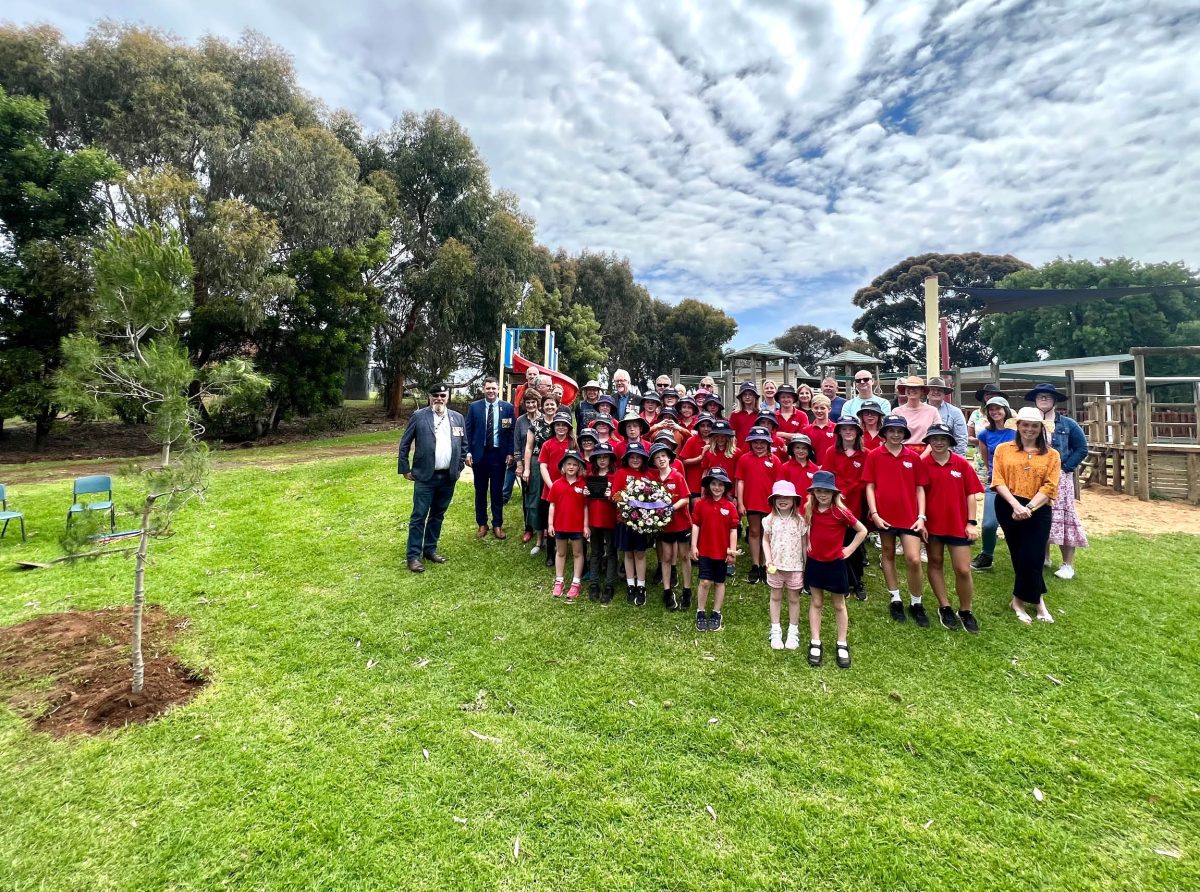 Schools - 100 Lone Pines